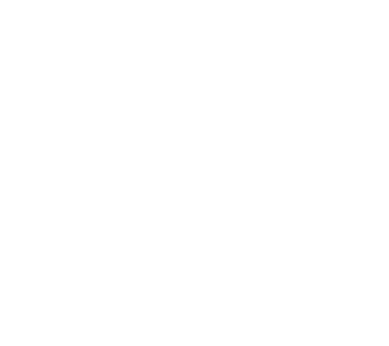Sconi Project - Sconi Project